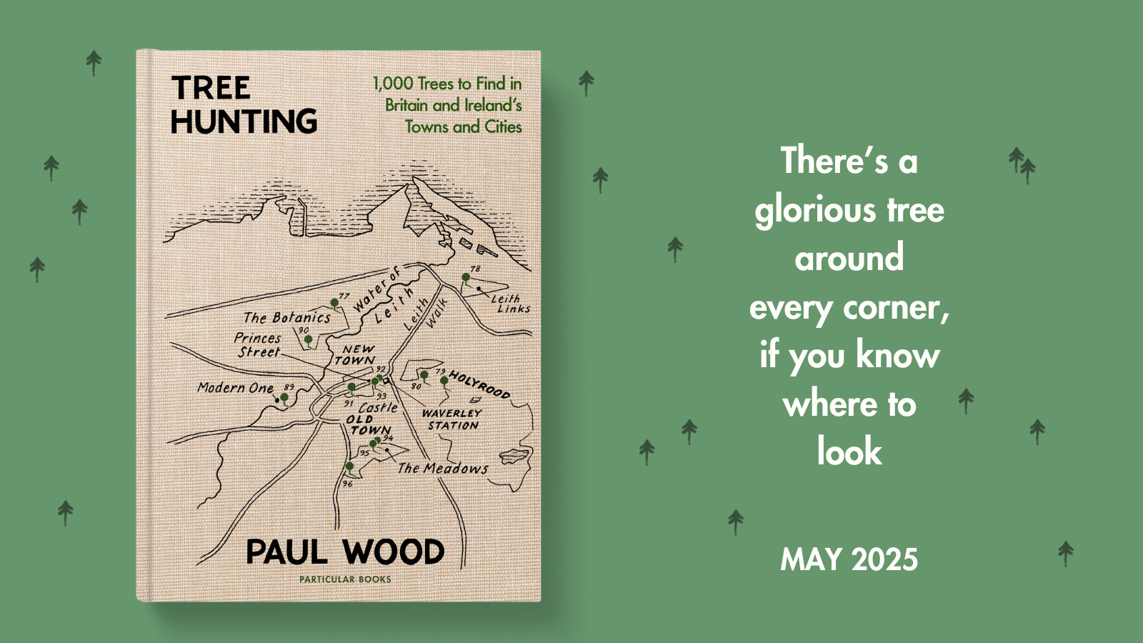 Tree Hunting – How I Chose the Trees in My New Book